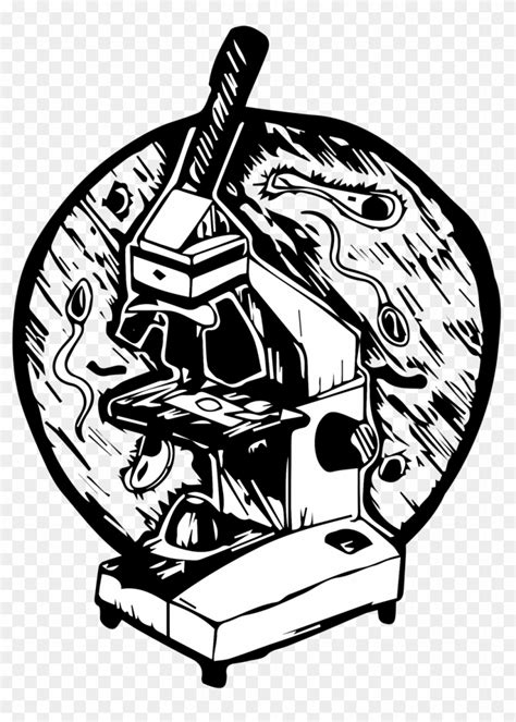 Microscope Microscope Full Size Png Clipart Images Download