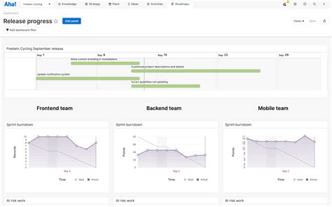 Include Sprint Burndown Charts On Dashboards In Aha Roadmaps