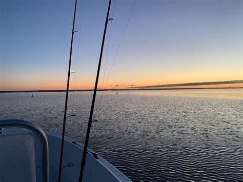 Walleye From This Summer Oneida Lake Ny Rfishingnewyork