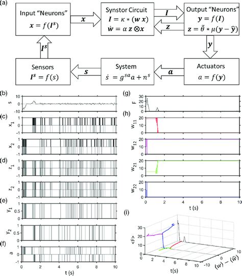 A A Simulated Closed‐loop System Including A Synstor Circuit And An Download Scientific