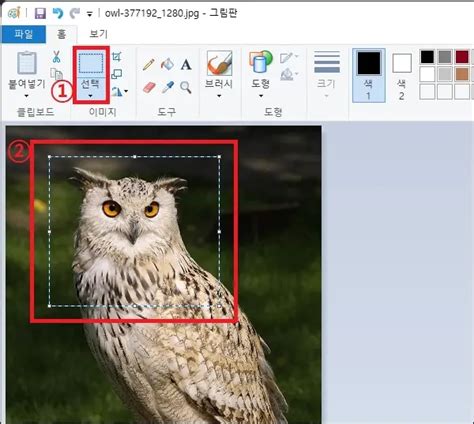 그림판으로 사진 이미지 모자이크 하는 방법 서기록