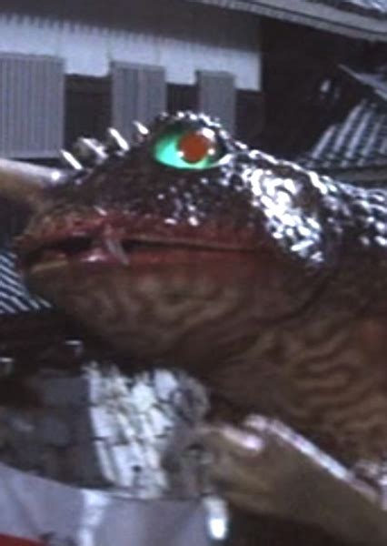 Giant Toad Fan Casting