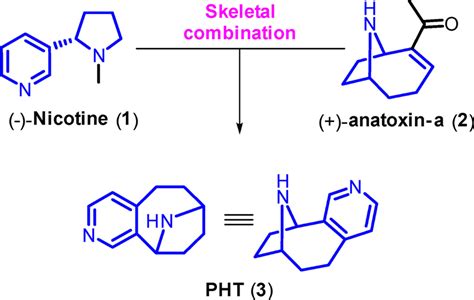 Design Of Pht By Kanne Et Al Download Scientific Diagram
