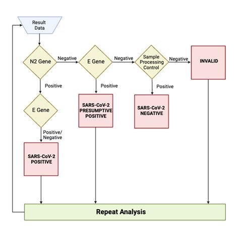 Algorithm Biorender Science Templates Algorithm Biorender Science Templates
