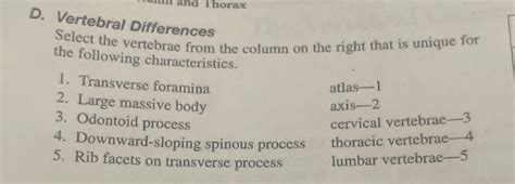 Solved D ﻿vertebral Differencesselect The Vertebrae From
