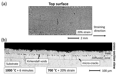 A Top And B Cross Section Optical Inspections Of The Alsi Coating Download Scientific