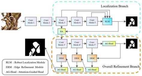 Electronics Free Full Text Robust Localization Guided Dual Branch