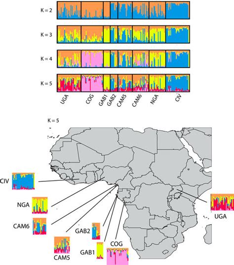 Revisiting The Historical Scenario Of A Disease Dissemination Using Genetic Data And Approximate