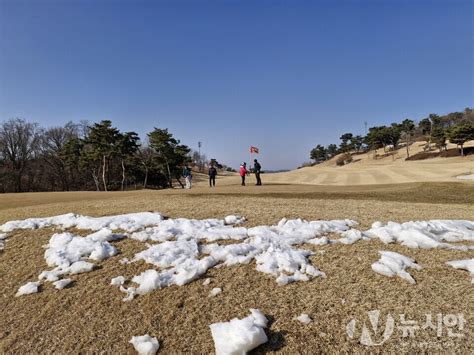 띄우지 말고 굴려라겨울철 골프 묘미and요령
