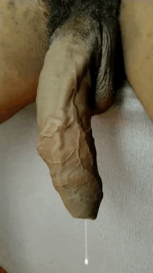 Ashleysissy Dicks