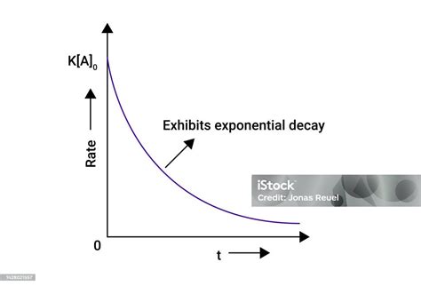 Graph Of Exhibits Exponential Decay向量圖形及更多一組物體圖片 一組物體 充裕 分子結構 Istock