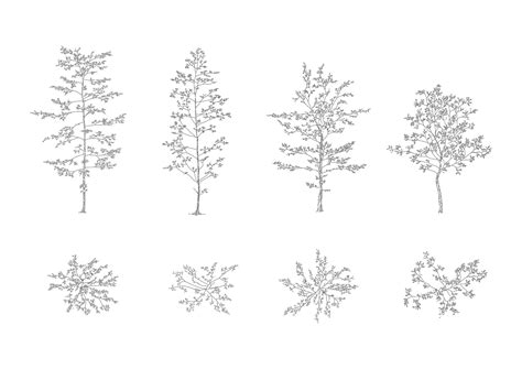 Deciduous Trees Dwg Cad Blocks In Plan And Elevation 30 Pieces Cadnature