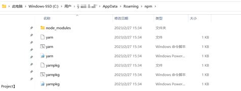 javascript pnpm 提示安装成功，但始终提示找不到 segmentfault 思否