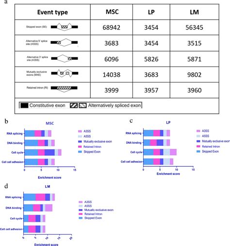 Induction Of Alternative Isoforms By E P A The Alternative Splicing
