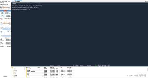linux远程管理工具