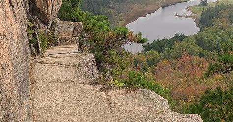 The Beehive Album On Imgur