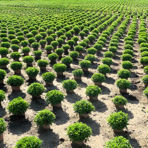 Stream Measure By Measure Disquiet0694 By Rabmusiclab Listen Online For Free On Soundcloud