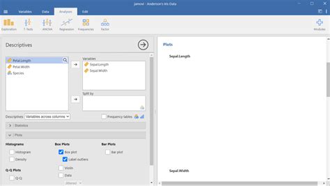 Jamovi Does Not Draw Properly And Cannot Display The Drawing · Issue