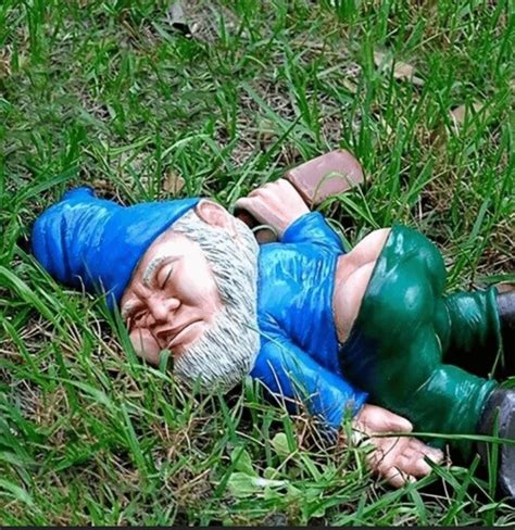 My Kind Of Garden Gnome Album On Imgur