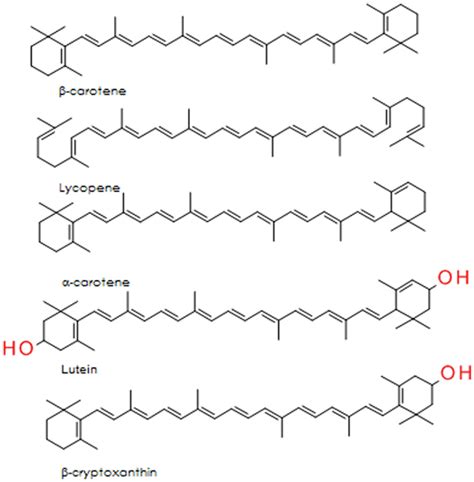 Structure Of Five Major Carotenoids In Human Diet Download