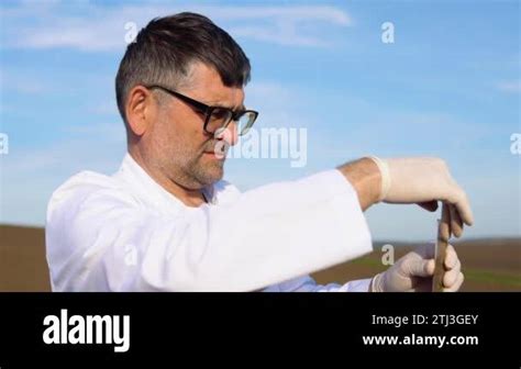 Senior Scientist Studying Sample Of Soil In Field Soil Sampling For Chemical Analysis And Ph