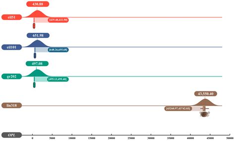 An Adaptive Ant Colony Optimization For Solving Large Scale Traveling Salesman Problem