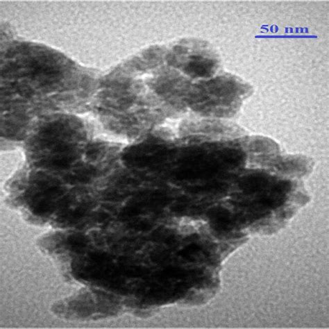 ftir spectra of fe3o4 cptes mnps fe3o4 urea hith mnps download