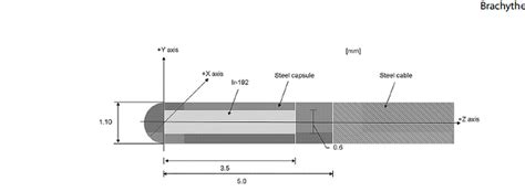 Simulation Brachytherapy Questions Phits Forum