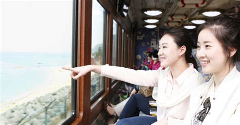 동해절경 즐기는 명품 기차여행 바다열차 개통10주년