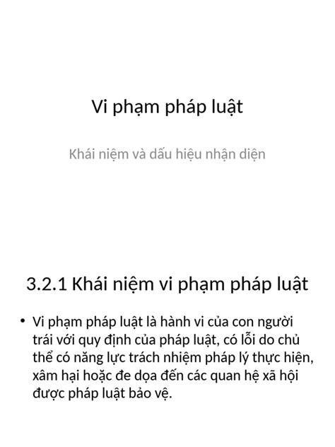 Vi Pham Phap Luat | PDF