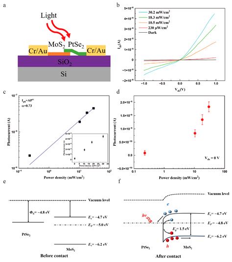 Highly Responsive And Self Powered Photodetector Based On Ptse2 Mos2 Heterostructure