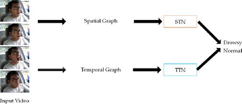 Figure 1 From Two Stream Spatialtemporal Transformer Networks For