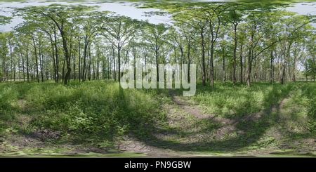 360° View Of Nature Of Dz Alamy