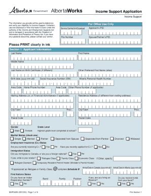 Income Support Application Fill And Sign Printable Template Online