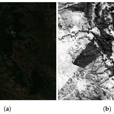 visualisation of images after application of different processing