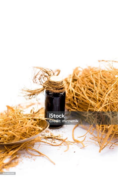 꽃과 아유르베다 허브 Vetiver 잔디 또는 말린된 Vetiver 잔디 흰색 절연 인도 아시아의 많은 음료에 사용 되는 투명 한 병에 Khus의 본질 Chrysopogon