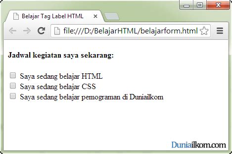 Tutorial Form HTML Fungsi Dan Cara Penggunaan Tag Label HTML Duniailkom