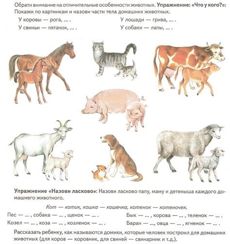Задания для детей 4 5 лет БебиКлад
