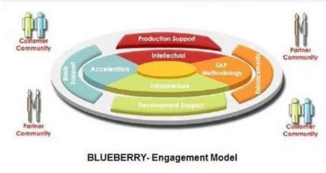 Sap Application Management Services In Gurgaon Id 14480563930