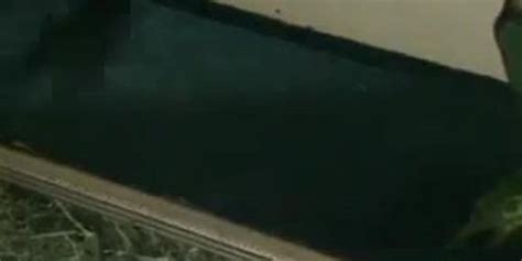 Blake Mitchell Pornstar Tnaflix Com