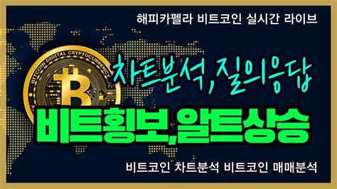 비트코인 실시간 비트횡보 알트상승 차트분석 질의응답 11월 14일 저녁💎 비트코인 비트코인실시간 이더리움 리플 도지코인 차트분석 Youtube