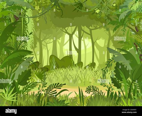 Real Jungle Background