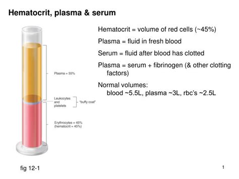Ppt Hematocrit Plasma And Serum Powerpoint Presentation Free Download Id 310842