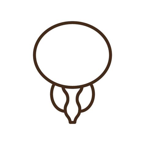 Histology Icon Illustrations Royalty Free Vector Graphics And Clip Art