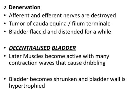 Physiology Of Urinary Bladderpptx