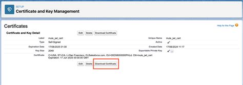 How To Setup Oauth Jwt In The Salesforce Connector