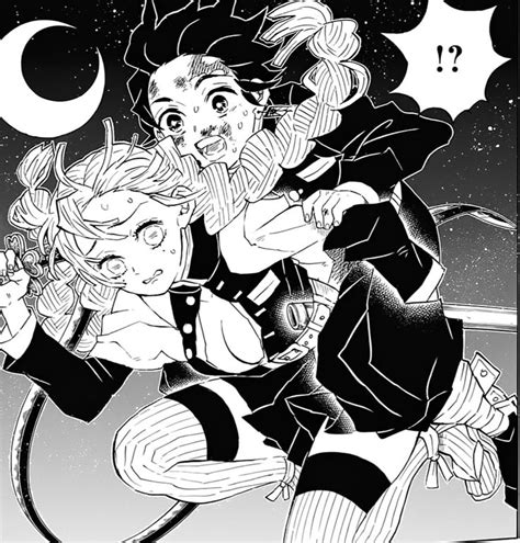 Tanjiro X Mitsuri Kanroji Anime Demon Slayer Anime Demon