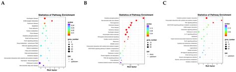 Integrative Analysis Of Transcriptomic And Lipidomic Profiles Reveal