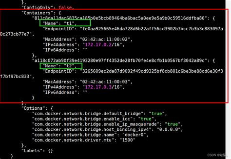 Docker网络配置 Csdn博客