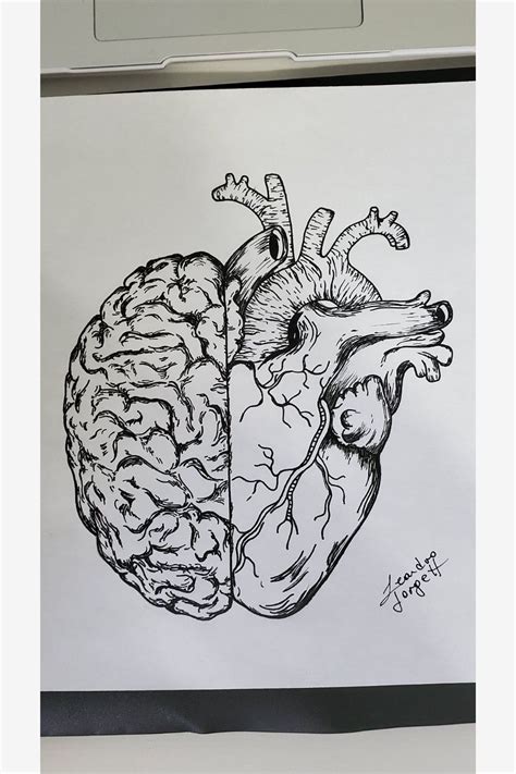 How To Draw A Human Brain Easy Steps Drawing Lesson For Beginners Artofit